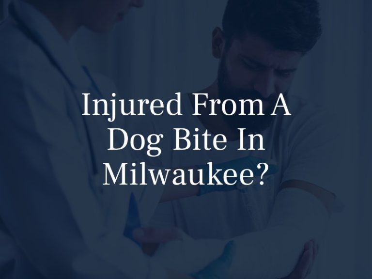 Milwaukee Dog Bite Lawyer | Cannon & Dunphy S.C.